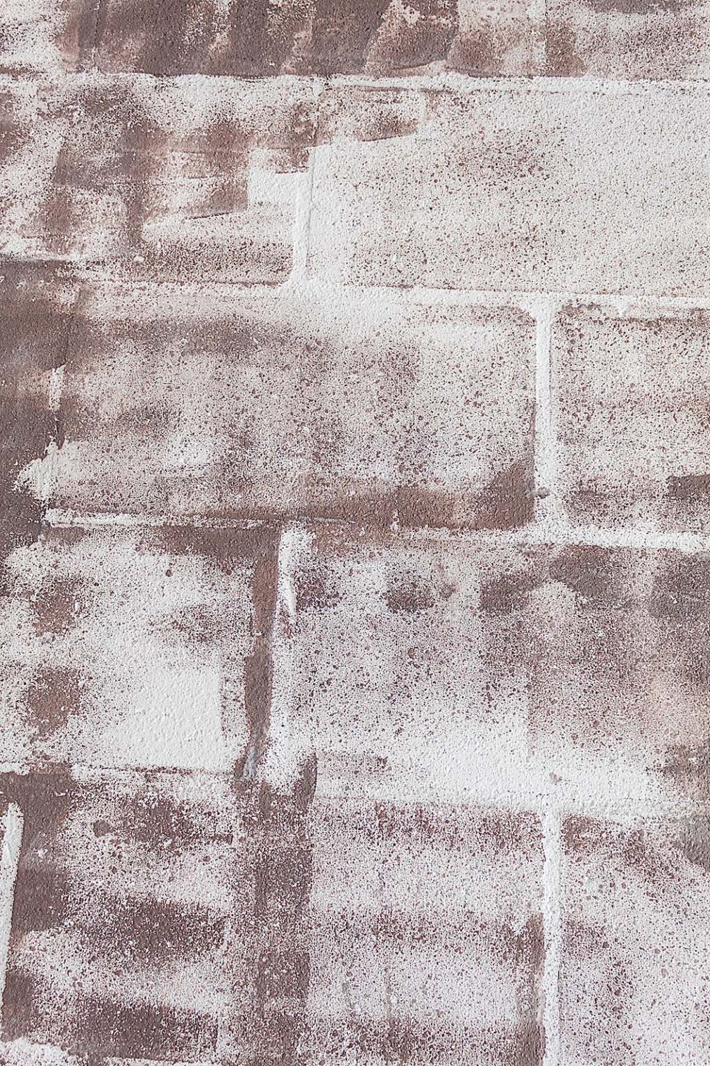 Cinder Block Wall Transformation – Nooks In Bloom