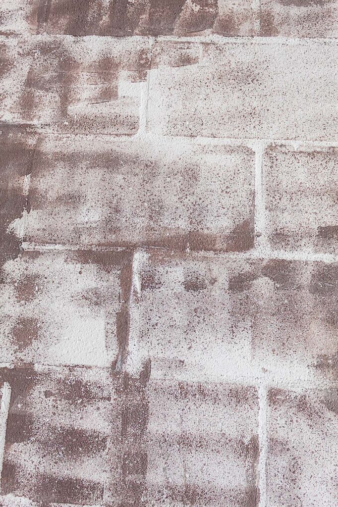 Cinder Block Wall Transformation – Nooks In Bloom