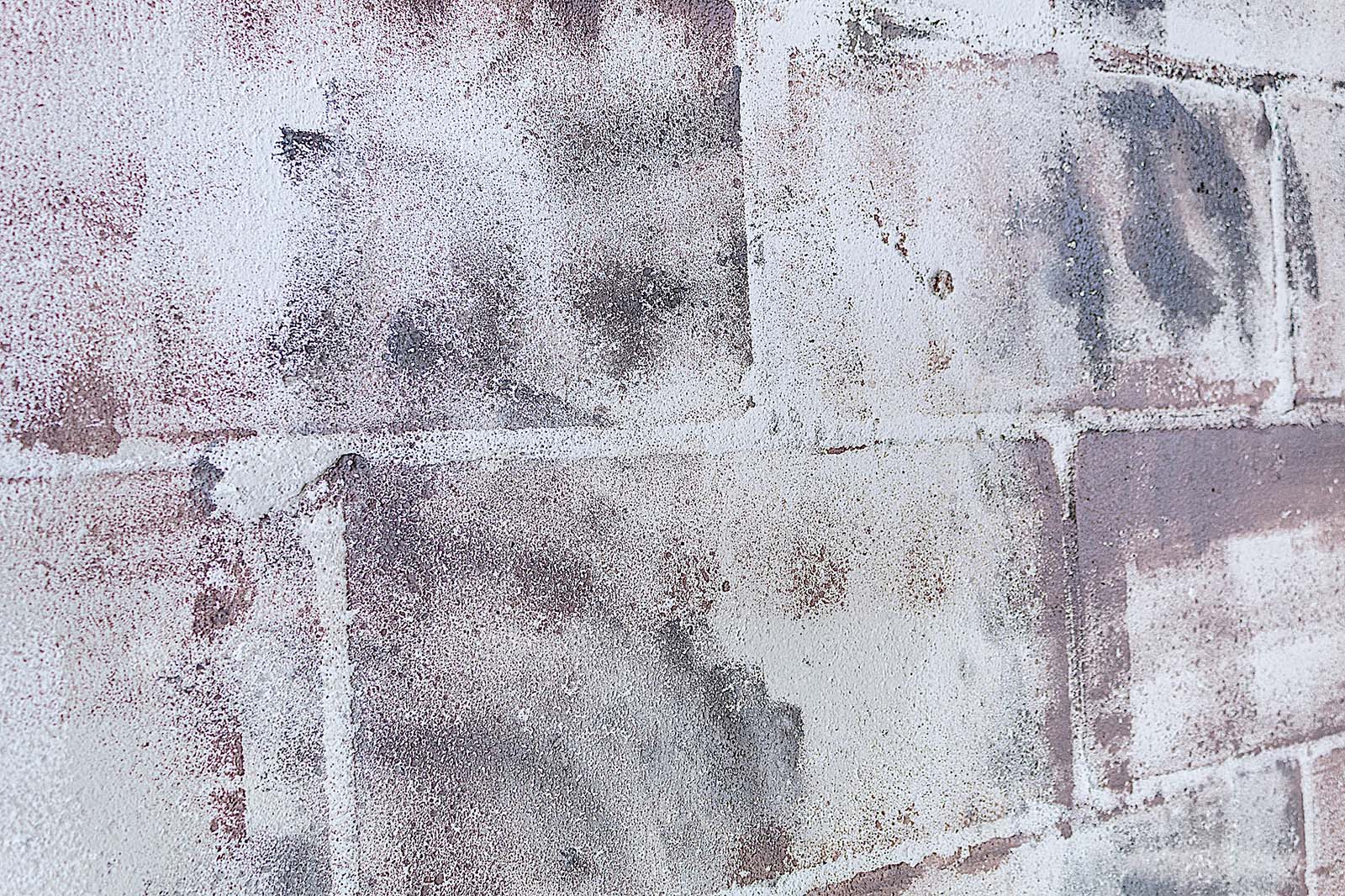 Cinder Block Wall Transformation – Nooks In Bloom