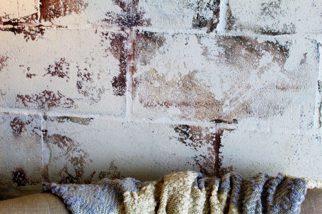 Cinder Block Wall Transformation – HOME DECOR, FURNITURE REDOS & DIY