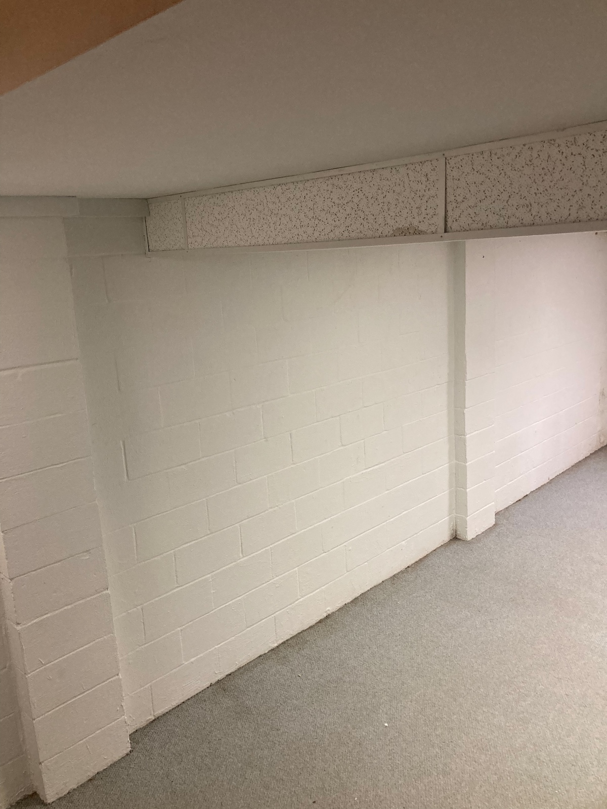 Cinder Block Wall Transformation – Nooks In Bloom