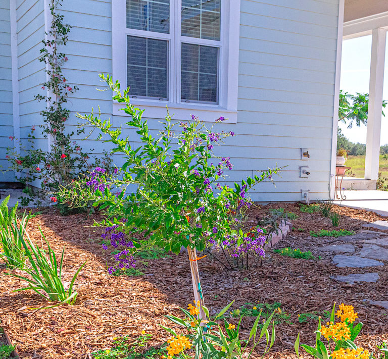 How To Create Your Own Garden Oasis On A Budget – Nooks In Bloom