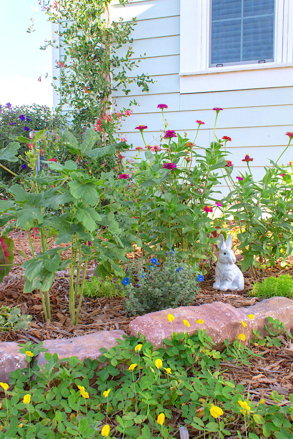 How To Create Your Own Garden Oasis On A Budget – Nooks In Bloom