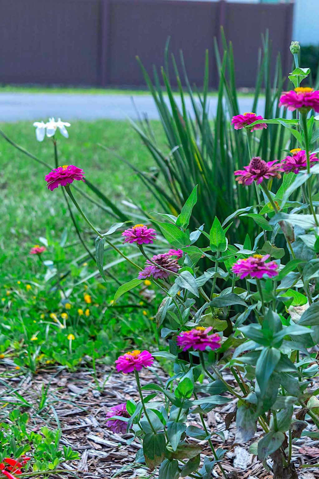 How To Create Your Own Garden Oasis On A Budget – Nooks In Bloom