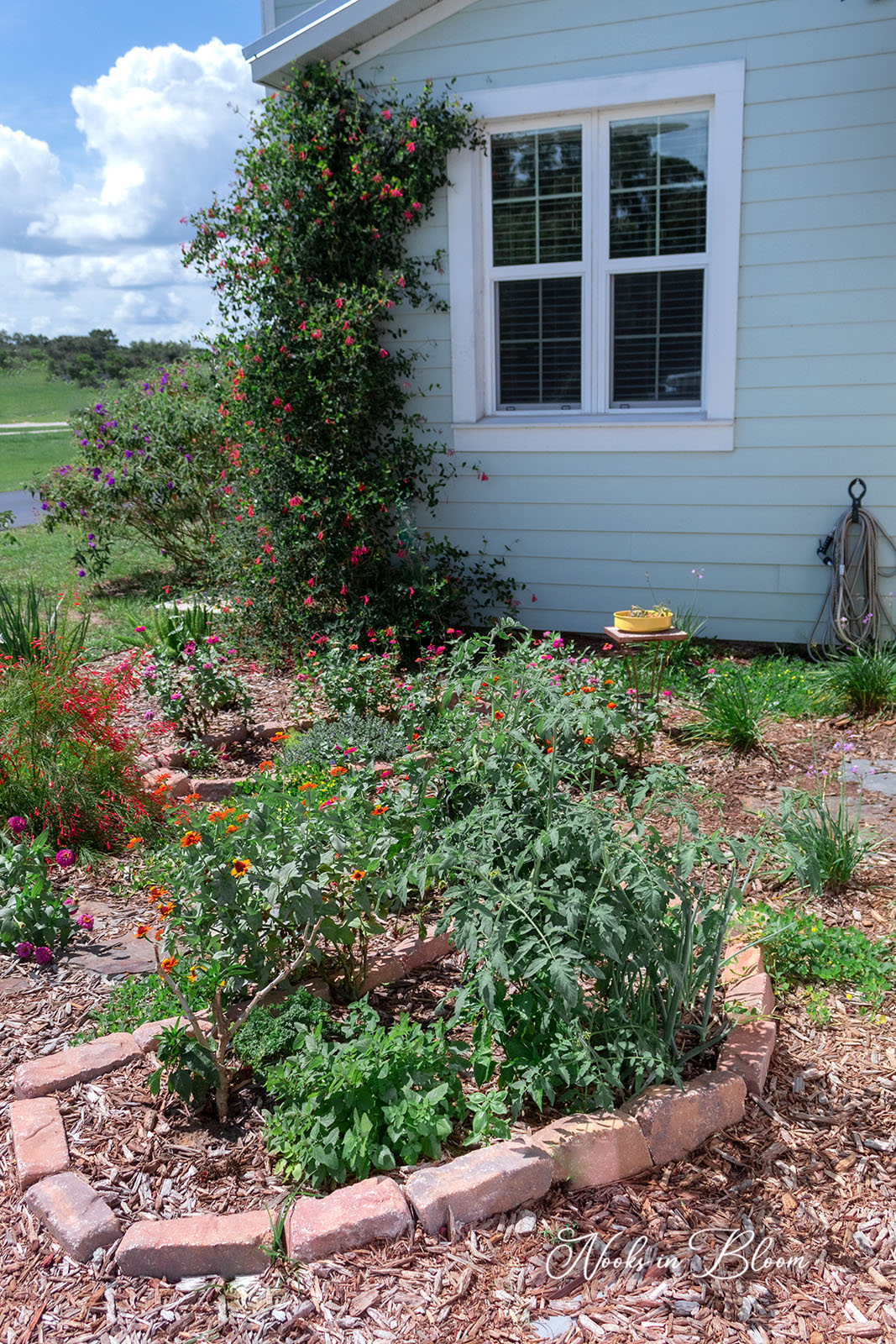 How To Create Your Own Garden Oasis On A Budget – Nooks In Bloom