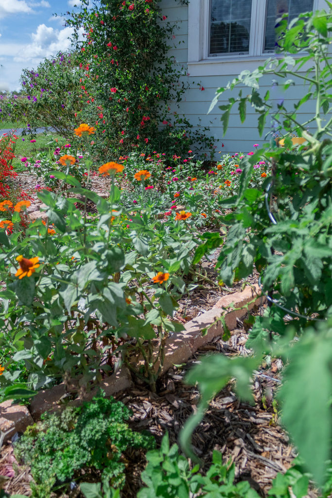How To Create Your Own Garden Oasis On A Budget – Nooks In Bloom