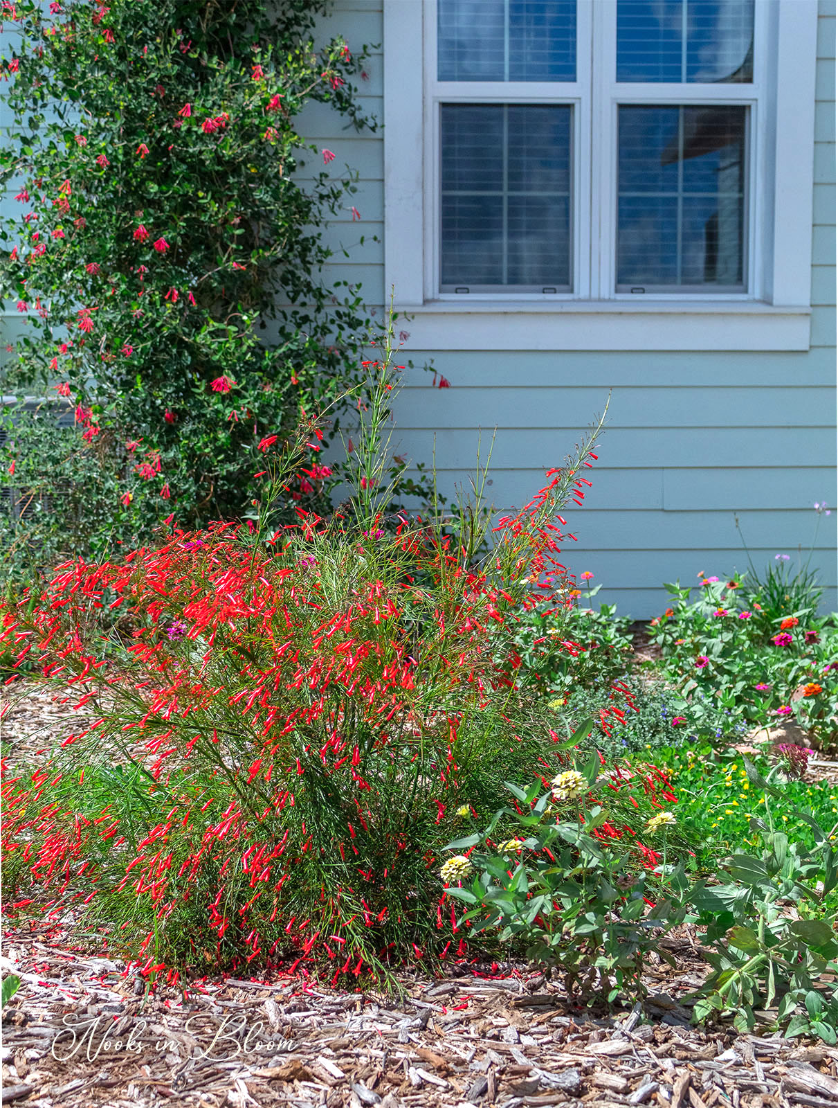 How To Create Your Own Garden Oasis On A Budget – Nooks In Bloom
