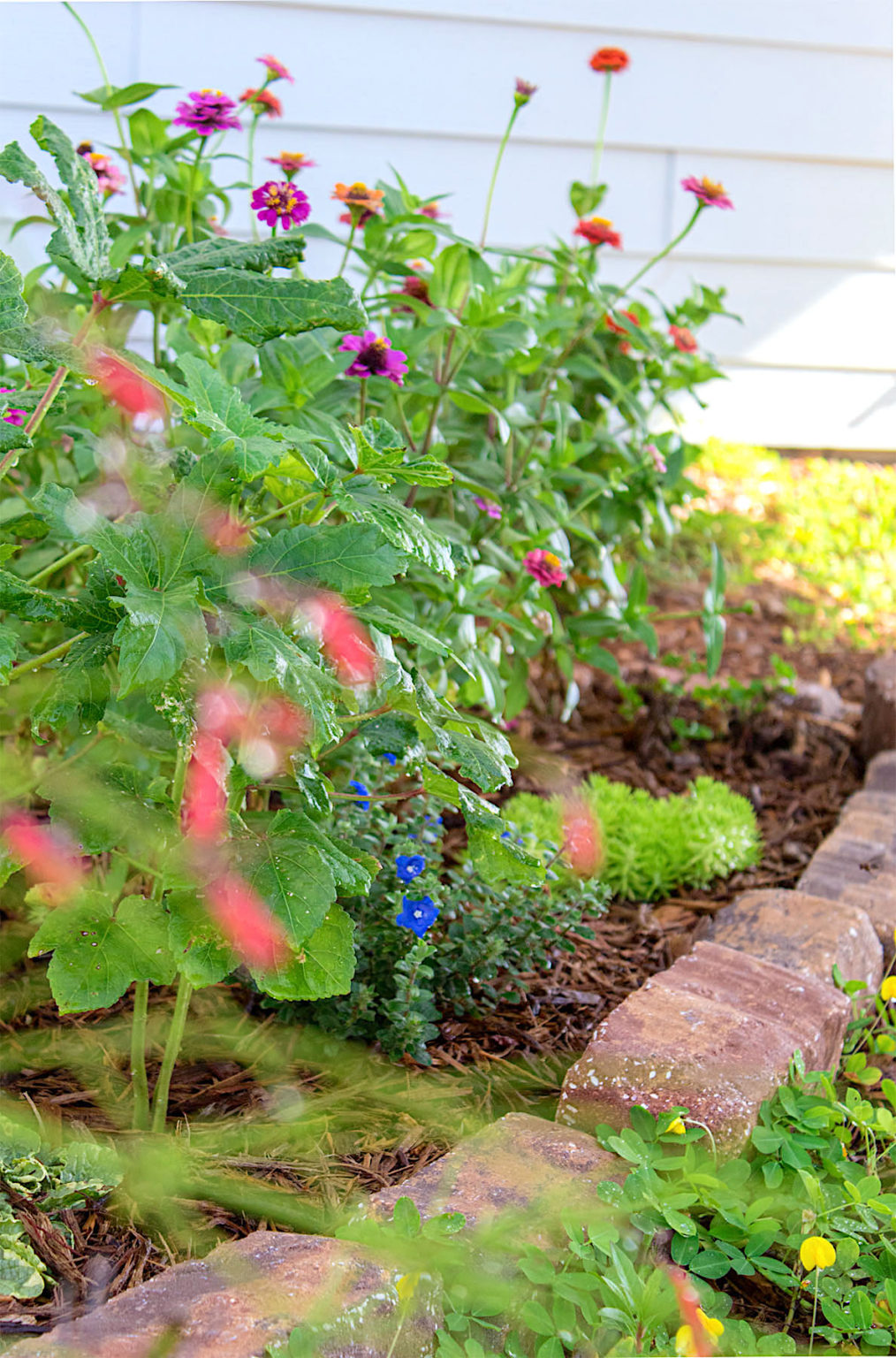 Ideas For Year Round Color In your Garden – Nooks In Bloom