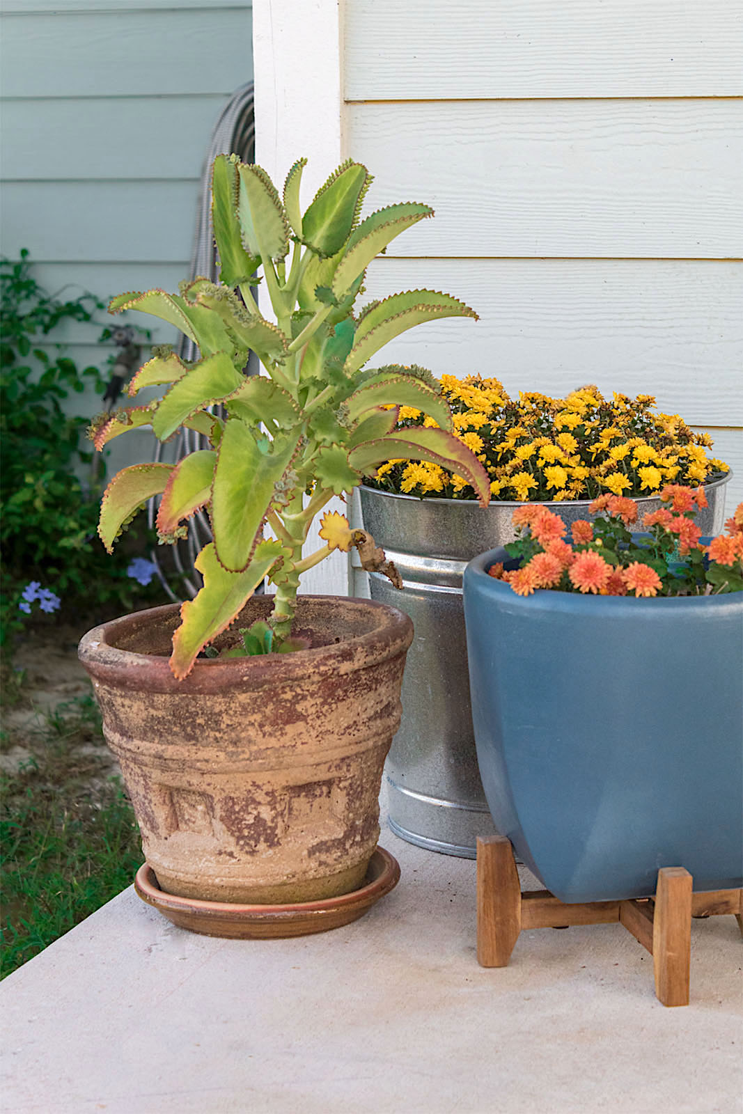 How To Stage Like A Pro – Nooks In Bloom