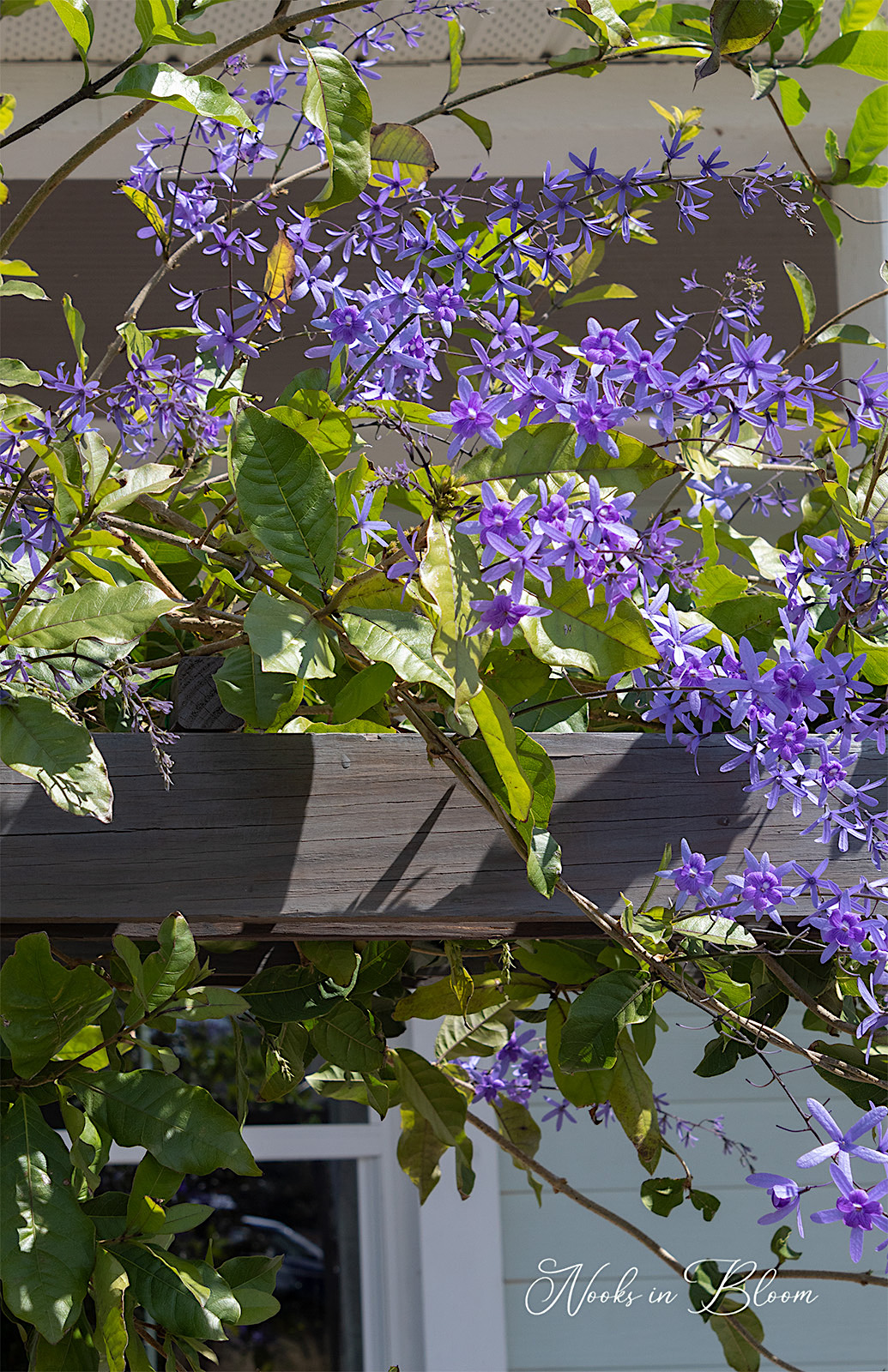 DIY Garden Arbor – Nooks In Bloom